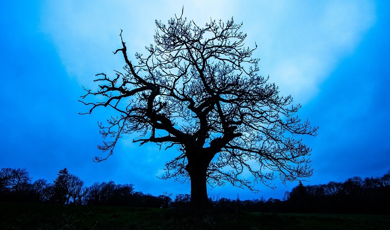 Iron Lake Challenge Wales